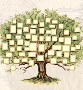 Homepage | Tulsa Library